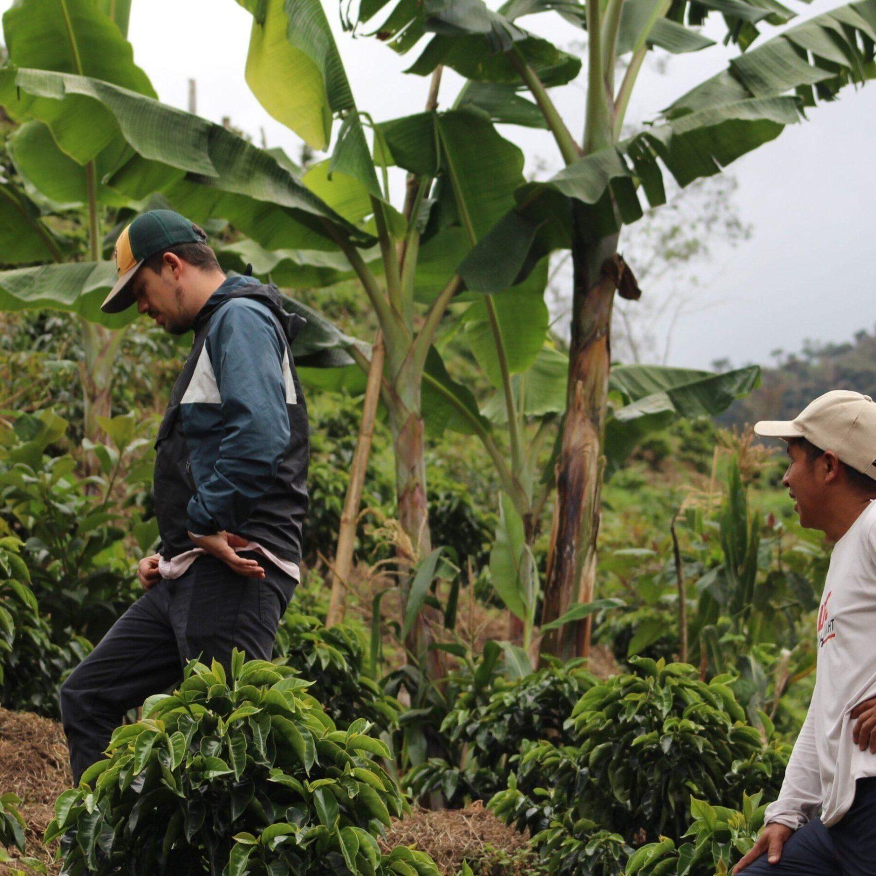 Projekt Inzá - Za lepší kávu a udržitelnější budoucnost - FATHER'S COFFEE